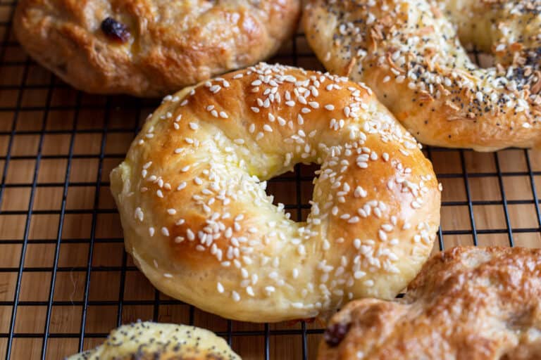 Cheddar Cheese Bagel Recipe | She's Not Cookin'