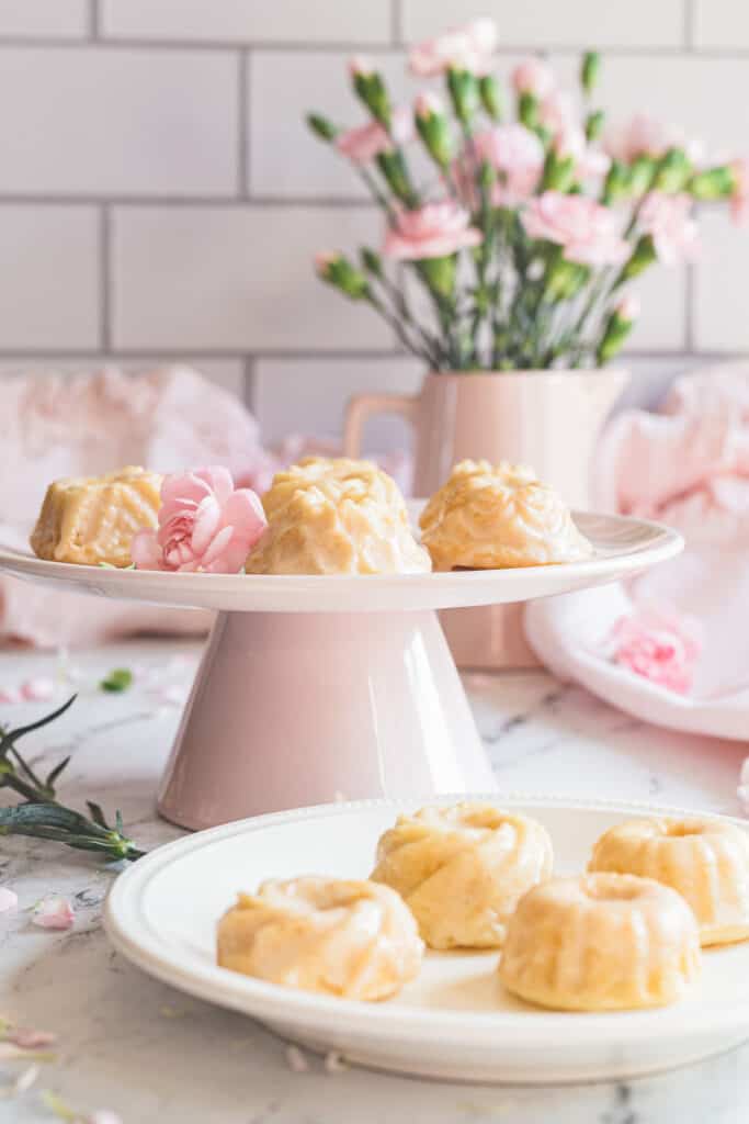 Vanilla Cakelet Recipe | She's Not Cookin'