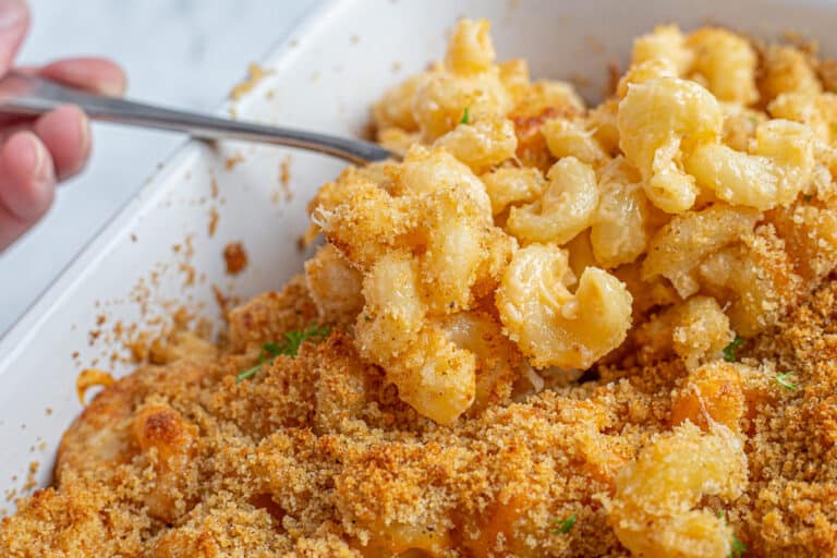 Cavatappi Mac And Cheese Recipe Shes Not Cookin