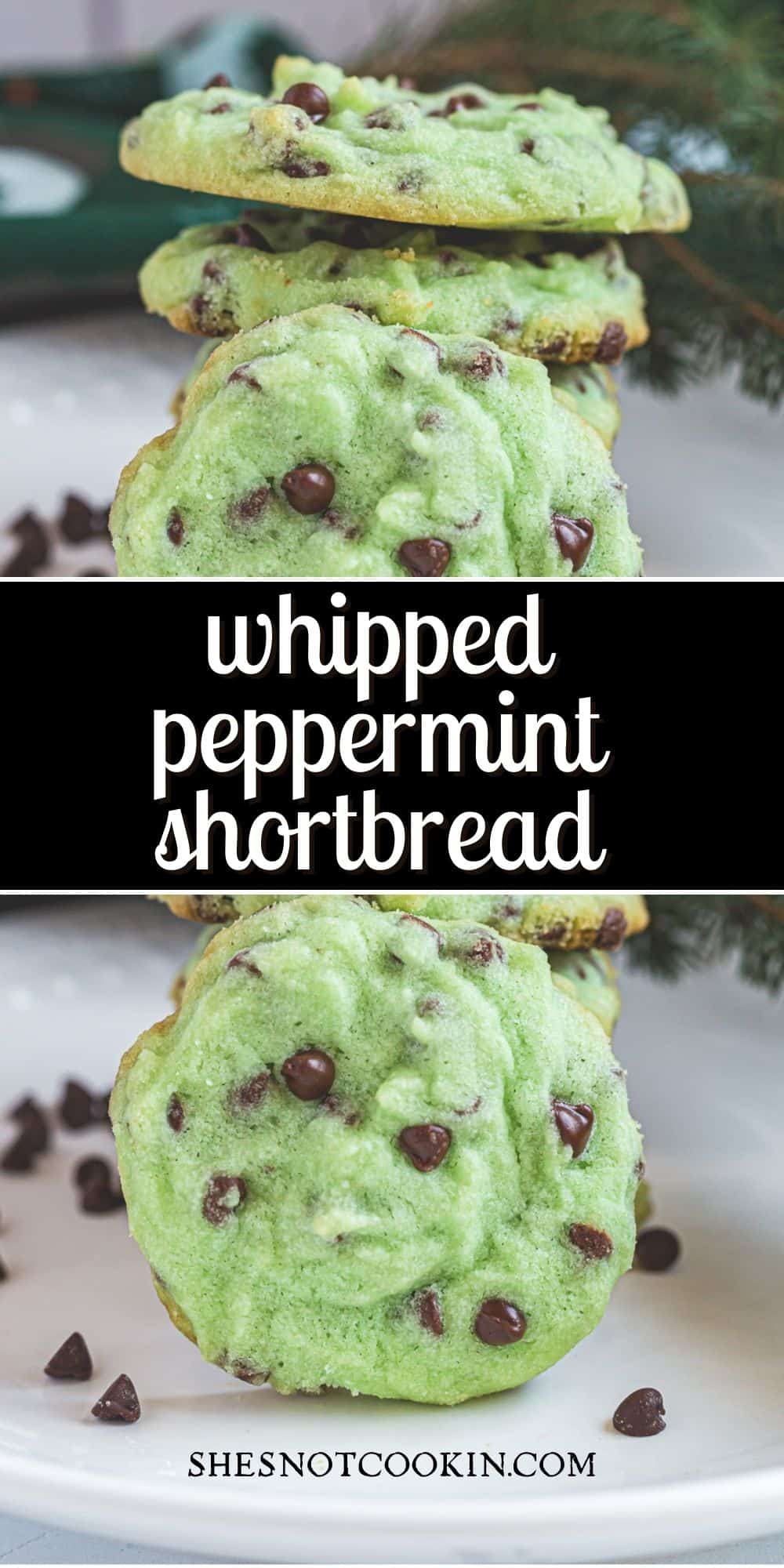 Peppermint Chocolate Chip Shortbread (Whipped) | She's Not Cookin'