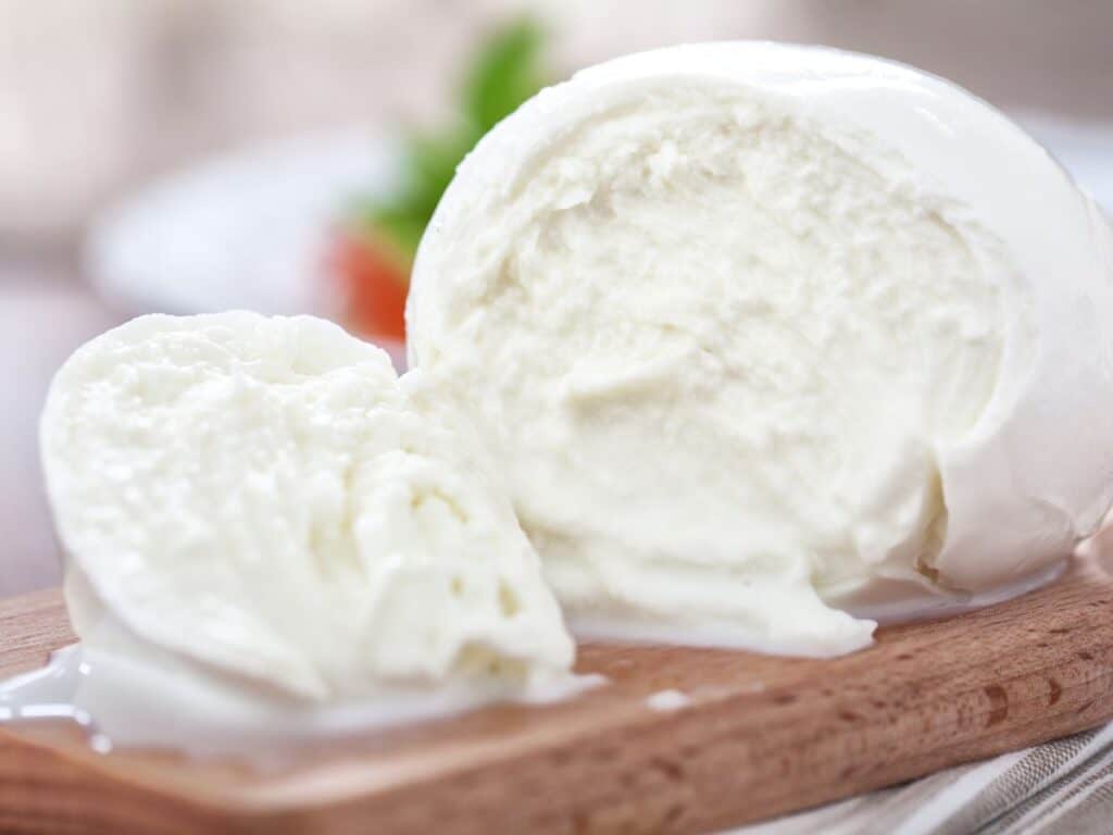 Best Mozzarella Cheese options to use as substitutes! | She's Not Cookin'