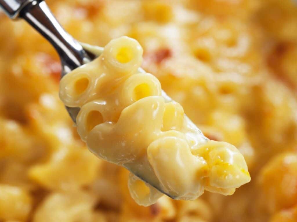 Best Cheese for Melting and when to use them (Ranked) | She's Not Cookin'