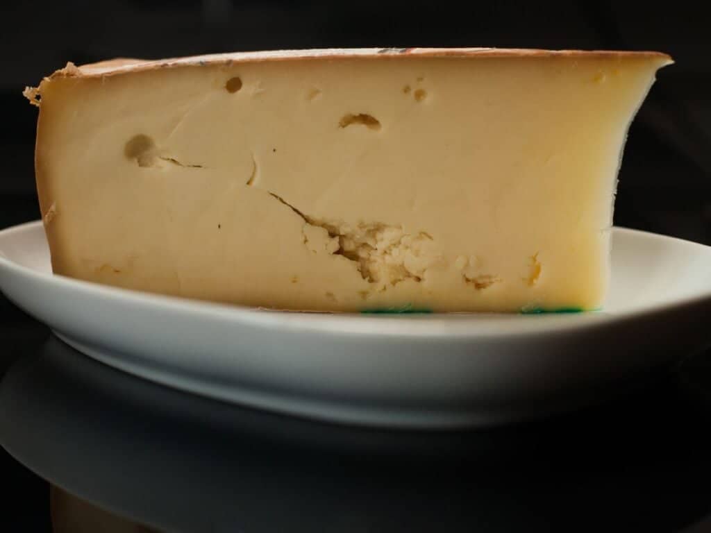 Best Mozzarella Cheese options to use as substitutes! | She's Not Cookin'
