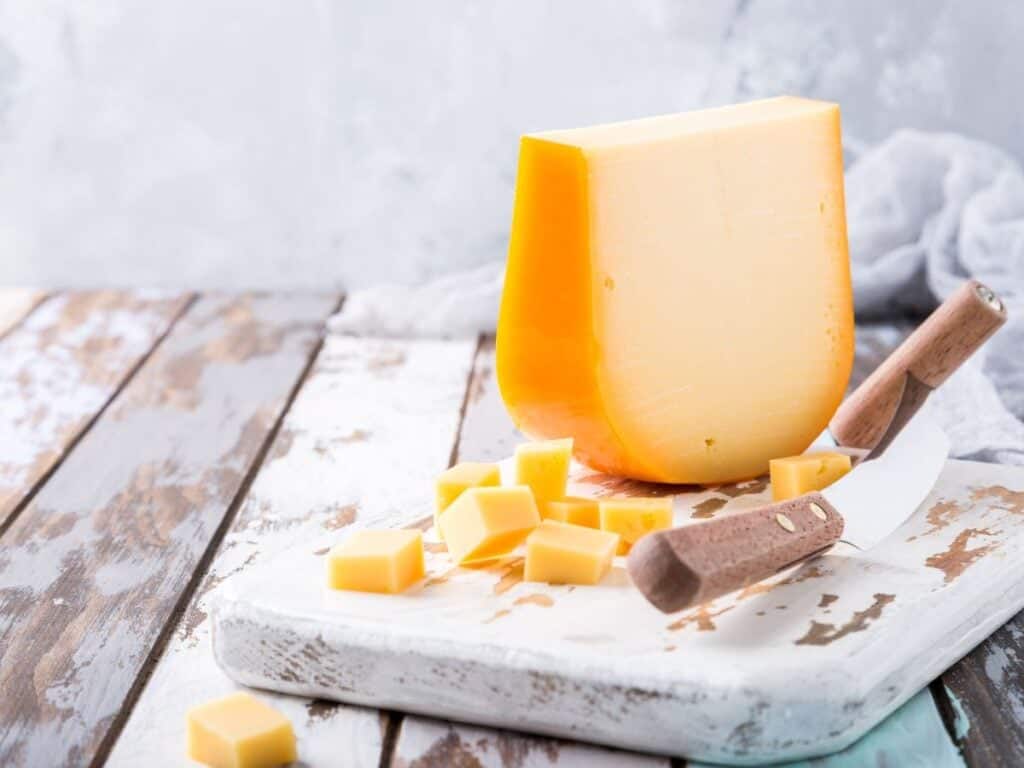 Best Mozzarella Cheese options to use as substitutes! | She's Not Cookin'