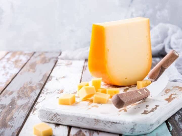 Best Mozzarella Cheese options to use as substitutes! | She's Not Cookin'