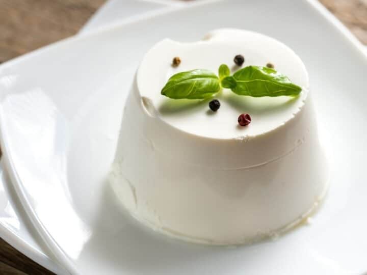 Best Mozzarella Cheese options to use as substitutes! | She's Not Cookin'