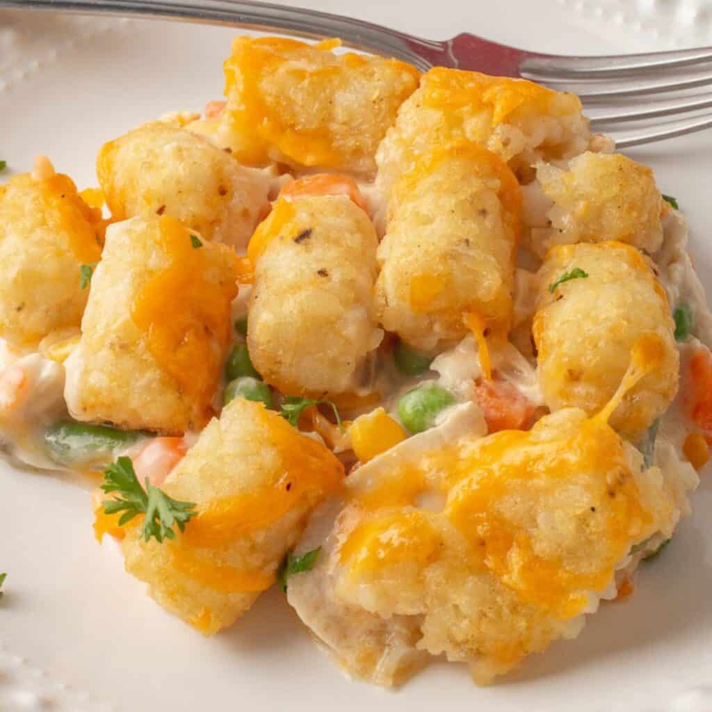 The BEST Chicken Tater Tot Casserole (Easy to Make!) | She's Not Cookin'
