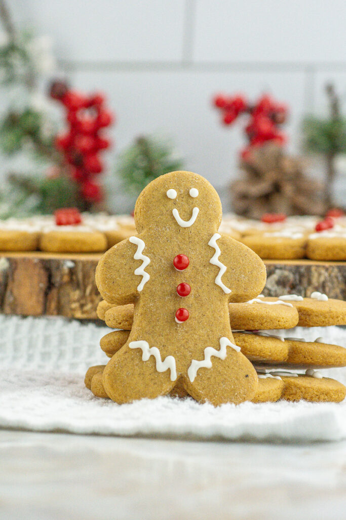 Easy Gingerbread Cookies Recipe | She's Not Cookin'