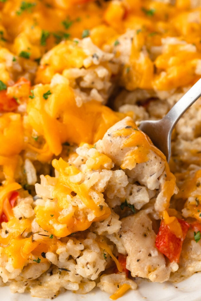 Cheesy Chicken & Rice Casserole | She's Not Cookin'