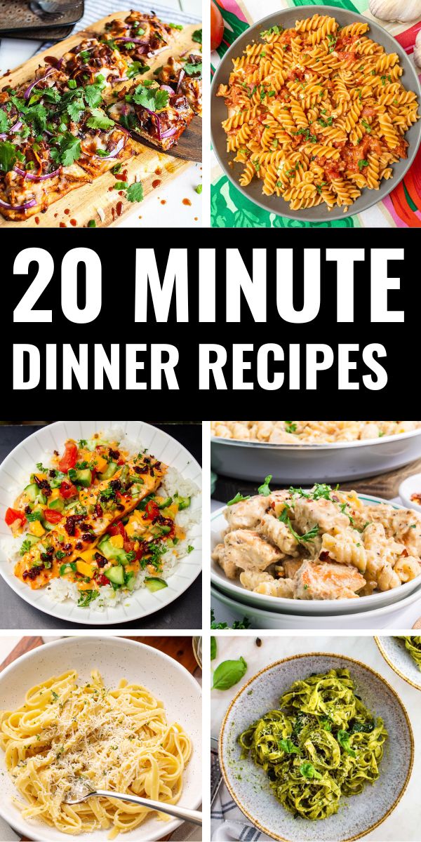 15 Quick & Easy Dinners Ready in 20 Minutes Or Less! | She's Not Cookin'