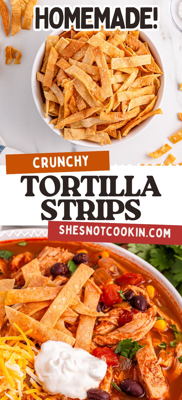 Easy Homemade Crunchy Tortilla Strips | She's Not Cookin'