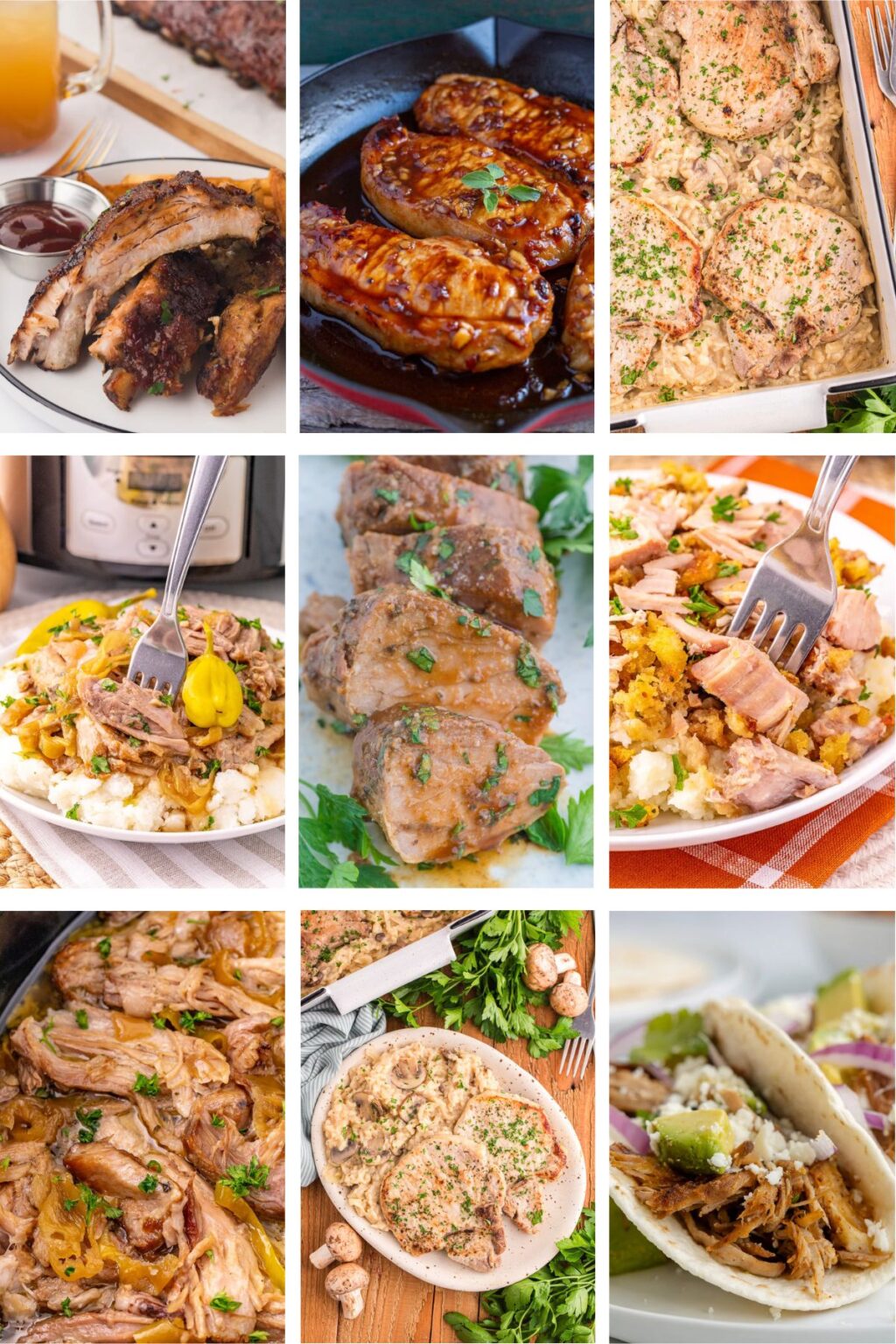8 Pork Dinner Ideas For Family Meals | She's Not Cookin'