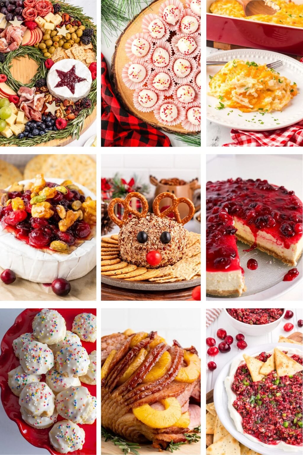Christmas Potluck Ideas | She's Not Cookin'